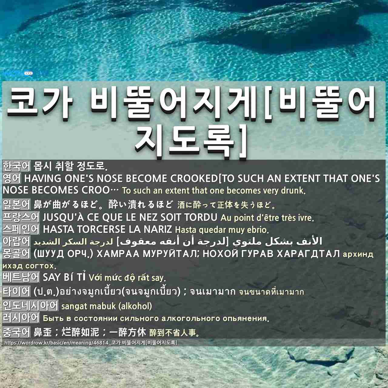 코가 비뚤어지게[비뚤어지도록]: HAVING ONE'S NOSE BECOME CROOKED[TO SUCH AN EXTENT ...